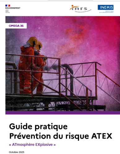 Un guide pour comprendre et maitriser le risque ATEX en entreprise ...