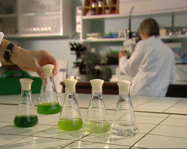 Règlements REACh & CLP | Ineris prestations